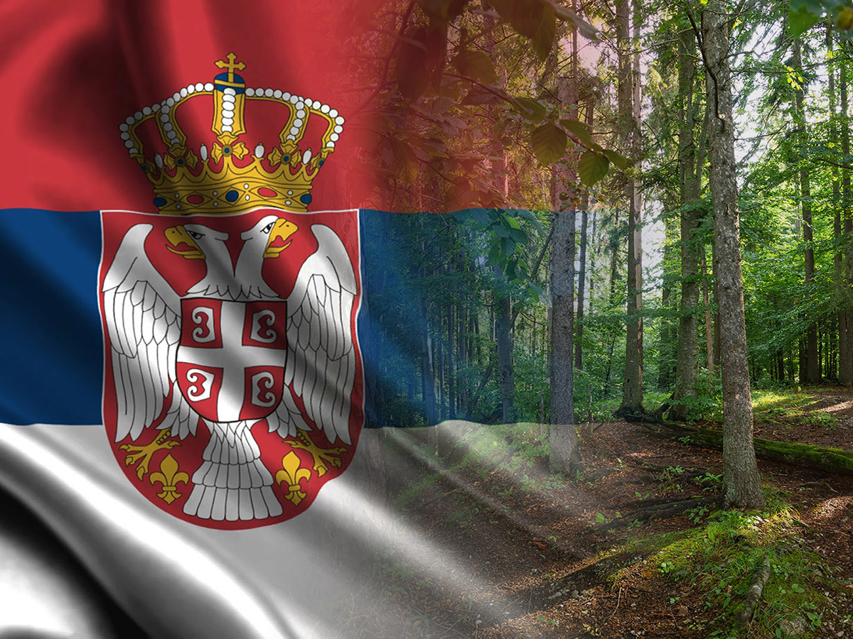 Novosti – Sindikat radnika Srbijašume